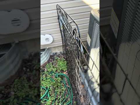 After nearly 4 years this fence still keeps dogs from HVAC & cords & protects the house from chewing