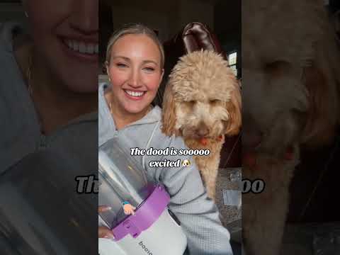 All-in-1 Pet Grooming Set for Your Furry Friend! #doglover #pets