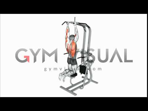 Parallel Close Grip Pull-up | myworkouts.io