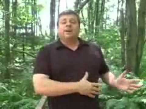 How to Understand the Choke Collar for Dog Training