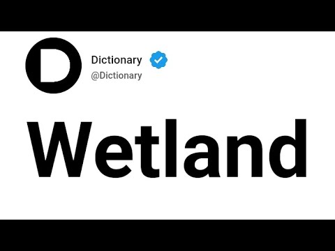 Wetland Meaning In English