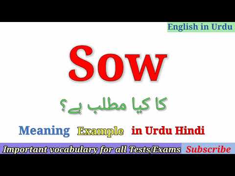 Sow Meaning in Urdu @EnglishinUrdu