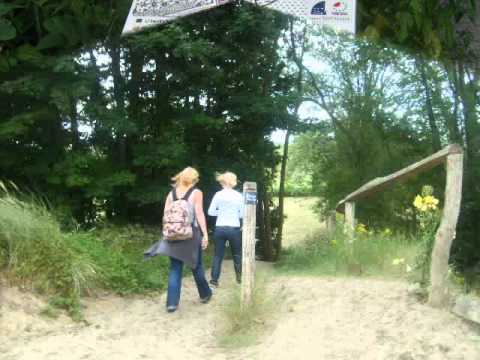 LOOKING FOR THE SUMMER. NW.wmv