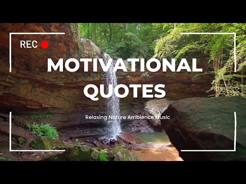 Powerful Motivational Quotes to Live a Successful Life