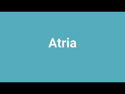'Atria' Meaning and Pronunciation