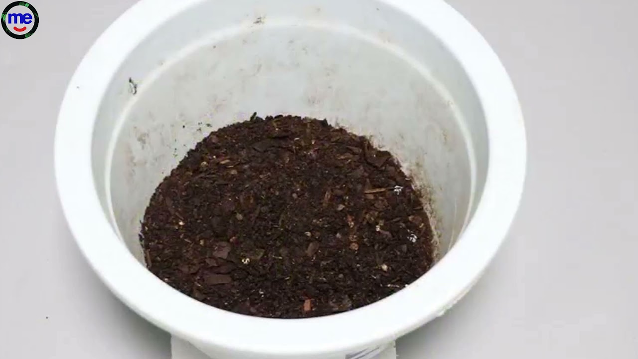 what to do with rotten tomatoes