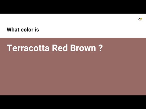 Terracotta Red Brown color #976a66 hex color - Violet color - Cool color 976a66