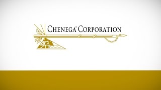 Working At Chenega: Company Overview and Culture - Zippia