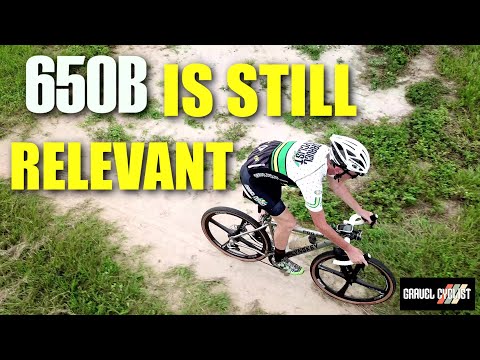 650B IS STILL RELEVANT