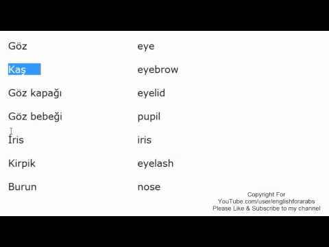 Human body in Turkish part 1 -Turkish For Beginners Video Lecture ...