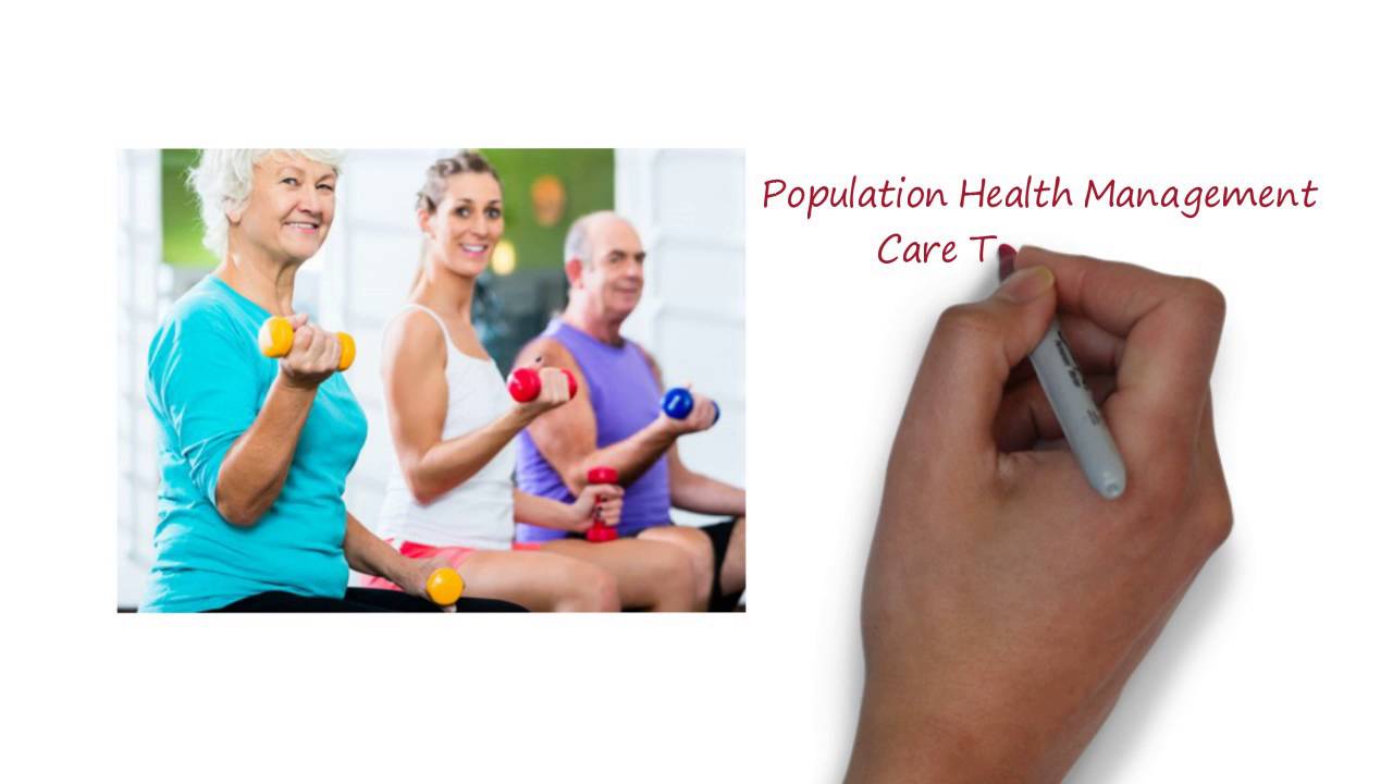 Vector Wellness Introduction