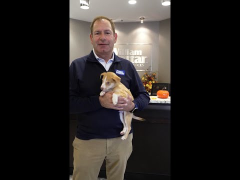2024 Pet Photo Contest Announcement