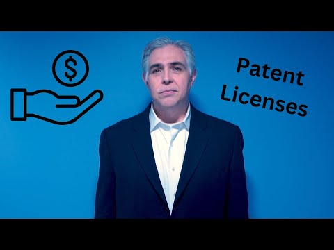 What do patent licenses look like for small inventors?
