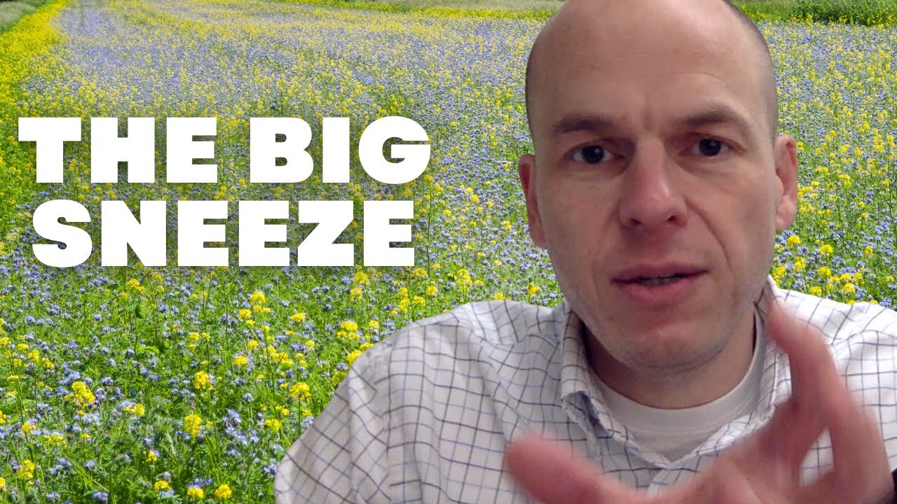 The Big Sneeze