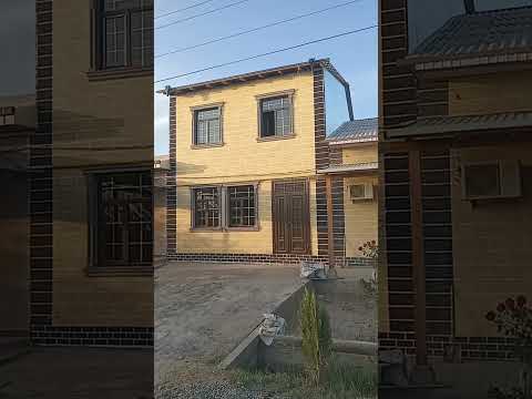 975122089va955550689
