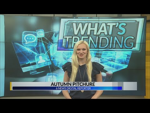 What's Trending on the Web