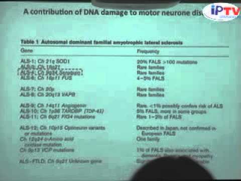 Toward the Biomedical Research in 21st Century : 3