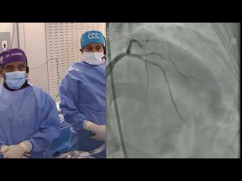Live Relay: MEDIQUEST - SEPT 2022