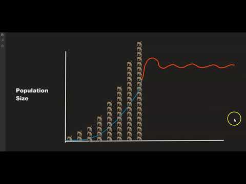 Limiting Factors (Simplified)