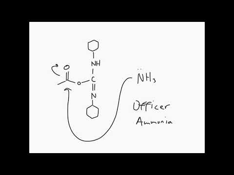 CHEM 322B DCC Coupling of an Acid and Amine