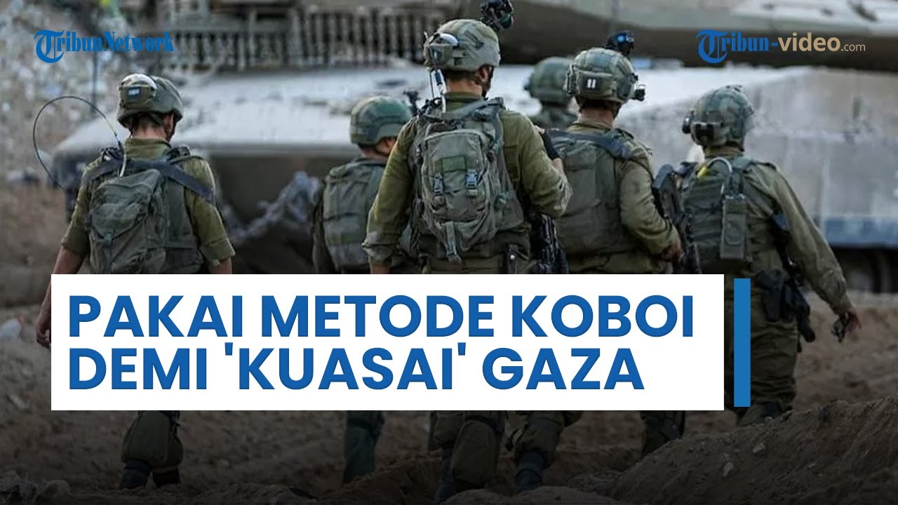 Israel Pakai "Metode Koboi" demi Kuasai Gaza, Gambarkan Sapi Merumput ...