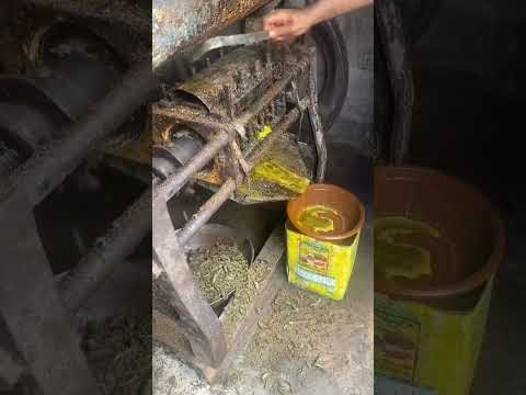 how to make ya ha canola. ka oil #volog