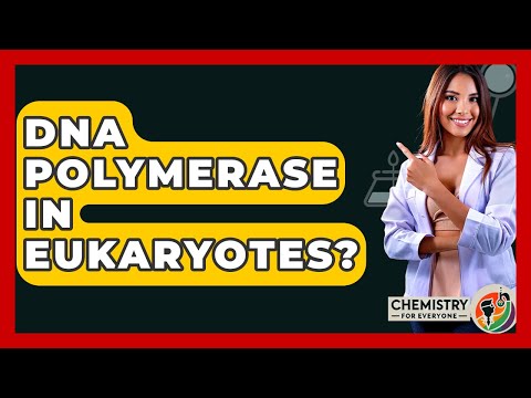 DNA Polymerase In Eukaryotes? - Chemistry For Everyone