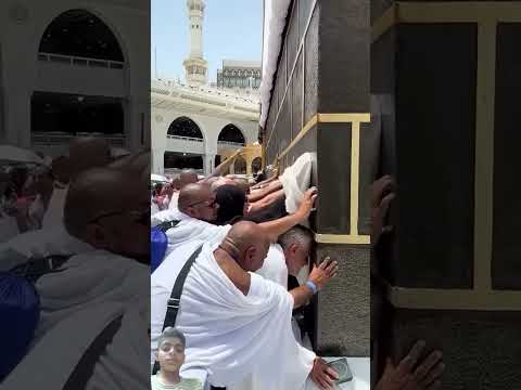 Hajj 2024💗🤲 #explore #madinahlive #mecca #hajj #live #love #hajjlive #makkalivetoday #madina