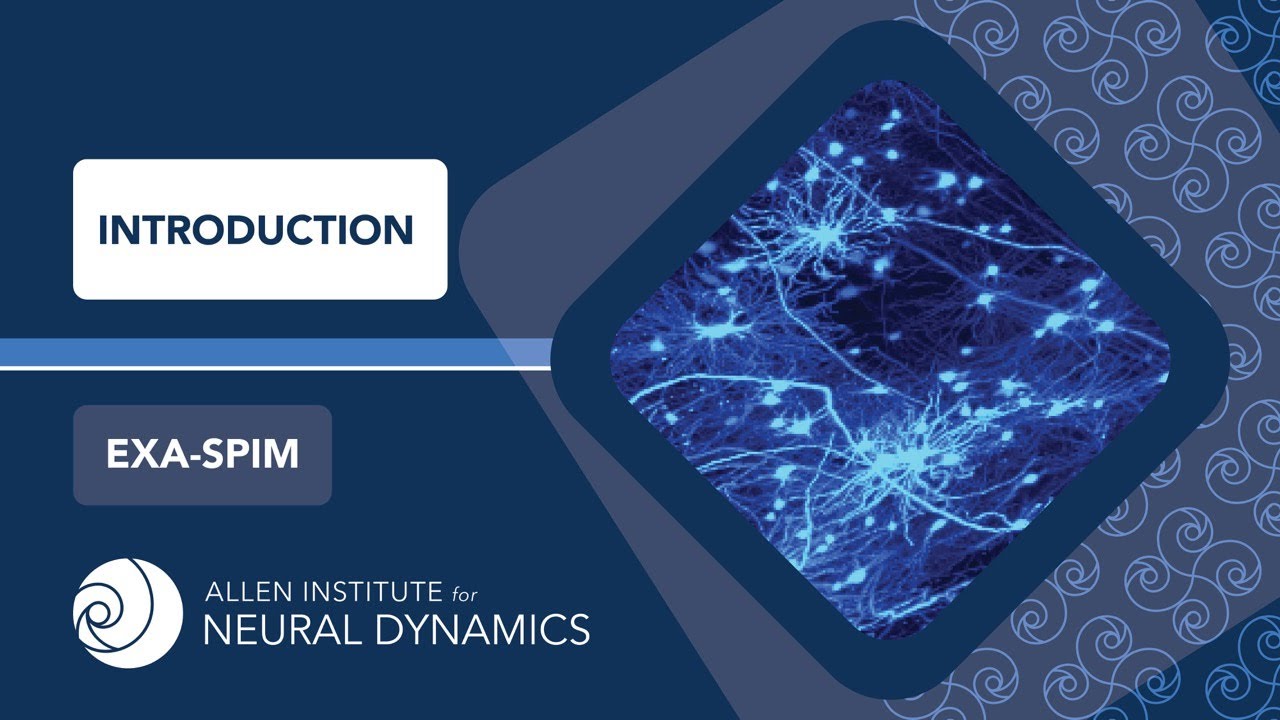 Introduction | ExA-SPIM