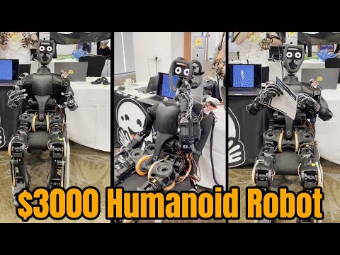 Features of a $3000 Humanoid Robot; World's Most Affordable Robot