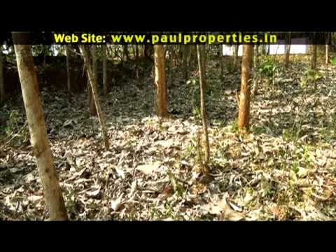 12cent Plot For sale At Alathur(Palakkad Dist.)