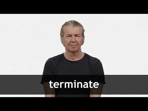 TERMINATE definition and meaning | Collins English Dictionary
