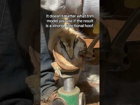 The So-Called “Hoof Wars” #hooftrimming #barefoothorse #naturalhoofcare #equineanatomy #horsehealth