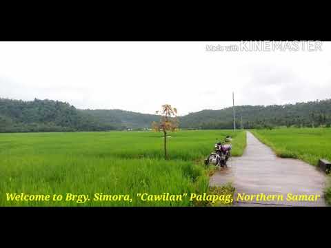 Featuring the beauty of Brgy. Simora, "Cawilan" Palapag, Northern Samar, Philippines