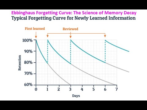 Ebbinghaus Forgetting Curve: The Science of Memory Decay