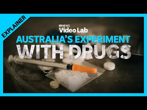 Is decriminalizing hard drugs the solution? | Video Lab | ABC News