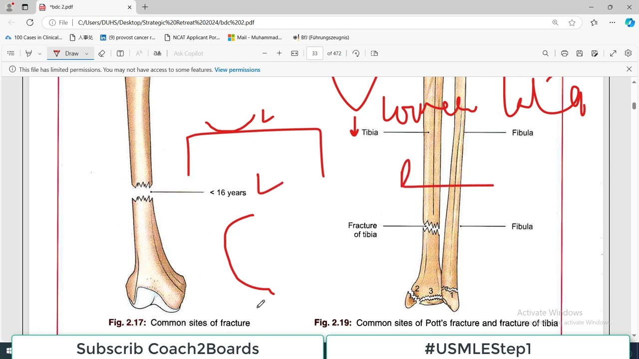 Understanding the Patella: Anatomy and Function | Galaxy.ai