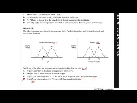 BONUS Exam Walkthrough – VCAA 2014 (Section A) – Biology Video Series