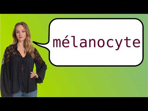 How to say 'melanocyte' in French?