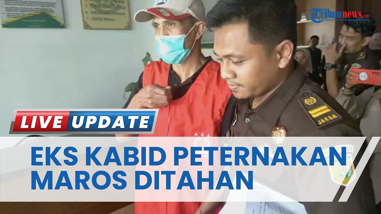 Mantan Kabid Peternakan Maros Jadi Tersangka Kasus Korupsi GBIB hingga ...
