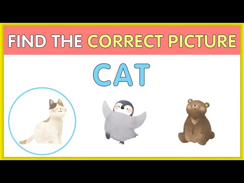 Find the Right Picture | Which Picture Matches the Word? | English worksheets for nursery class