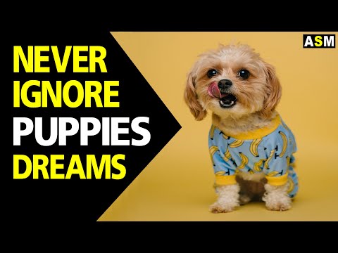 What does Puppies dream meaning | Dreaming of Puppies | Puppy dream Meaning and interpretation