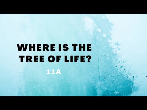 #13: Where Is The Tree Of Life?