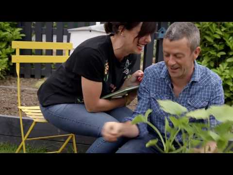 Courgette Growing Guide- GROW COOK EAT