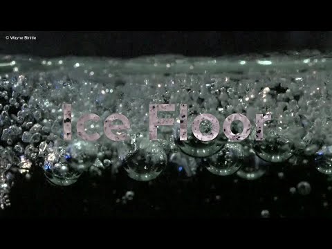 Ice Floor by Wayne Binitie: an installation about climate change