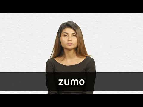 English Translation of “ZUMO” | Collins Spanish-English Dictionary