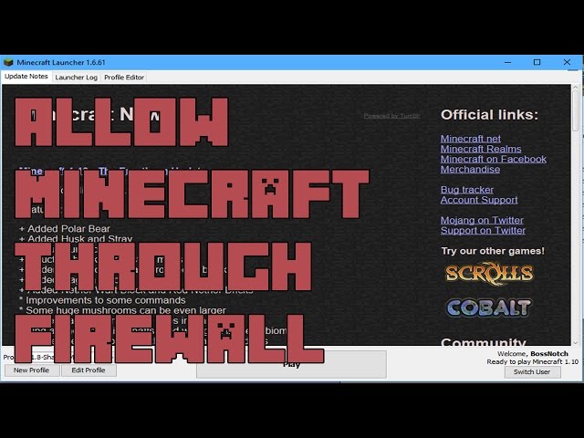 Top 5 ways to fix cannot connect to server error in Minecraft
