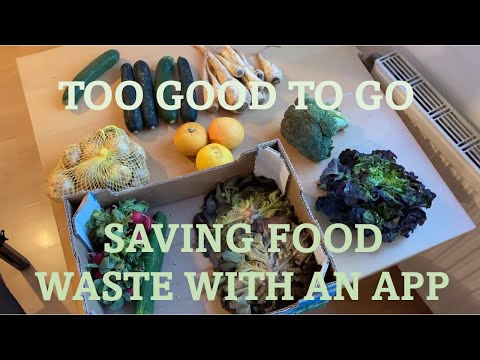 Saving food waste with Too Good to Go in Vienna | How it works? What did i get? How I used them?