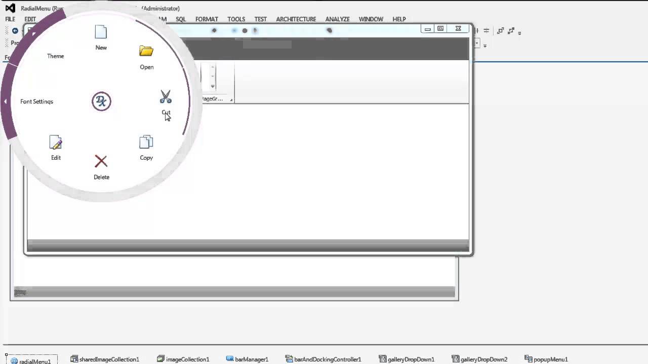 WinForms Radial Menu - Basic Setup and Design