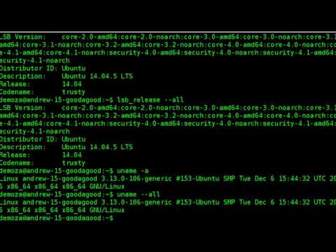 Linux Ubuntu - find out version number - distribution code name